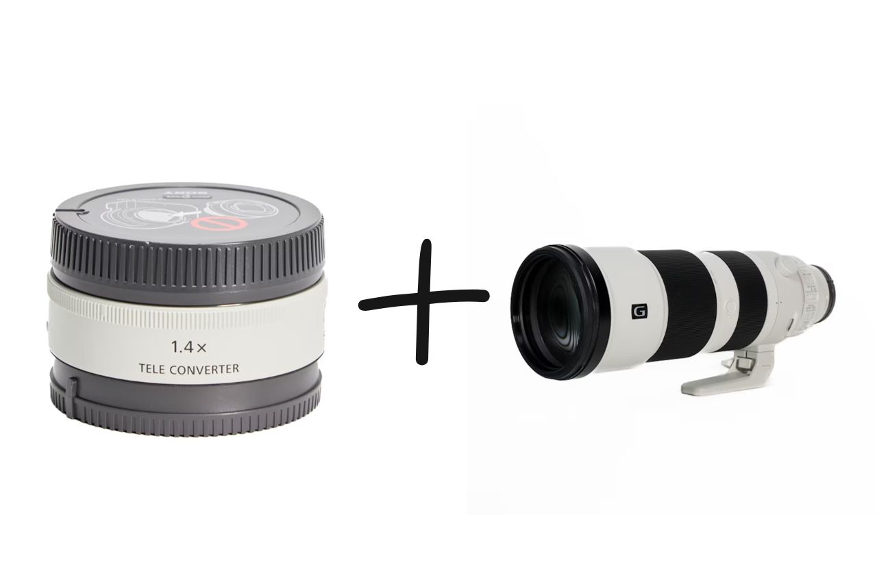 実写レビュー！SONY FE 200-600mm F5.6-6.3 G OSS SEL200600Gで野鳥を撮影してみた | GOOPASS ...